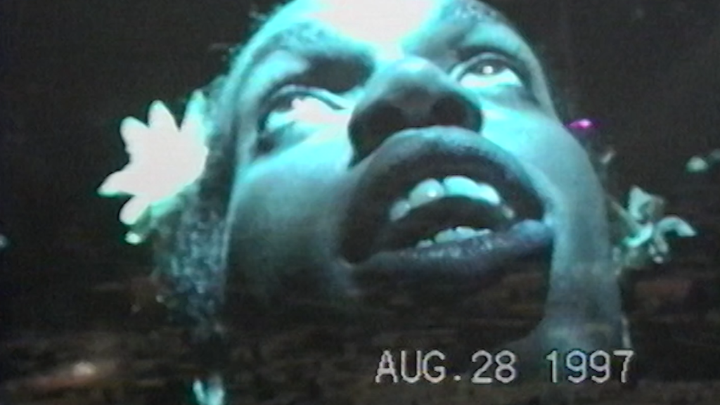 Loud and Proud: Austrian Queer Cinema - The Life of Sean DeLear ...